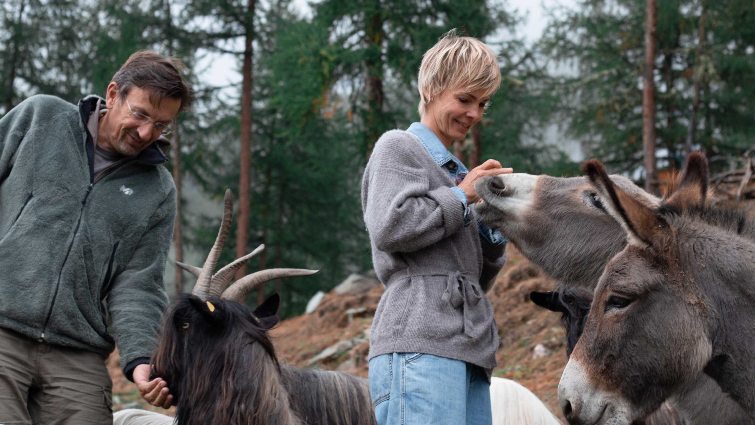 À propos - Alpage de Cottier